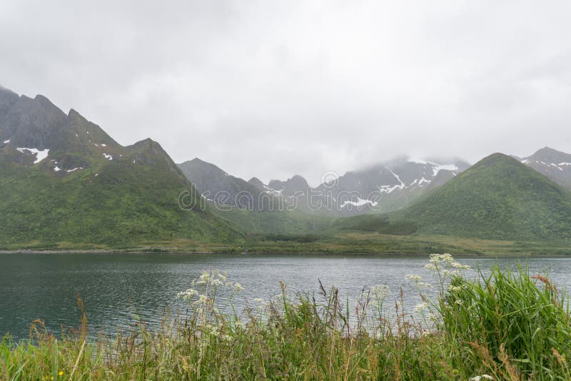 Fiordi Della Norvegia Lofoten - Case Bianche E Rosse Calme Del Cielo ... Fiordi Della Norvegia Lofoten - Case Bianche E Rosse Calme Del Cielo ...
